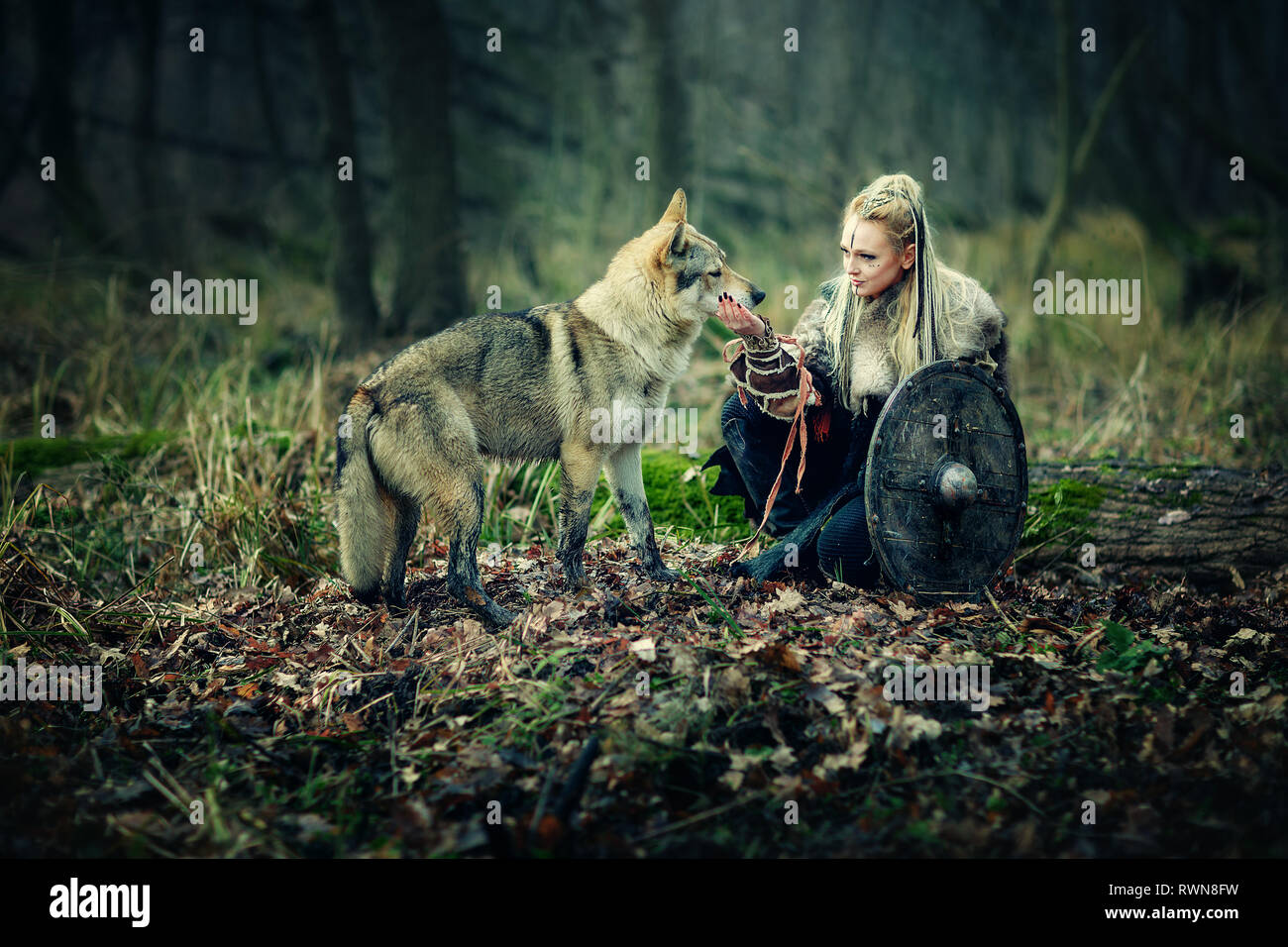 Warrior Woman And Wolf