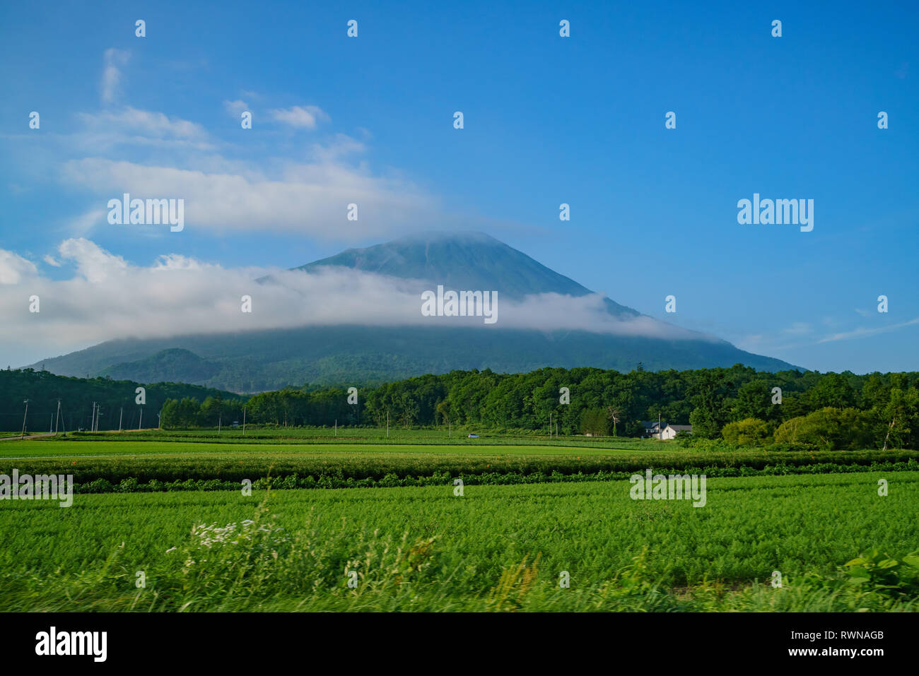 The beautiful Mount Yotei with vegtable farm at Hokkaido, Japan Stock ...