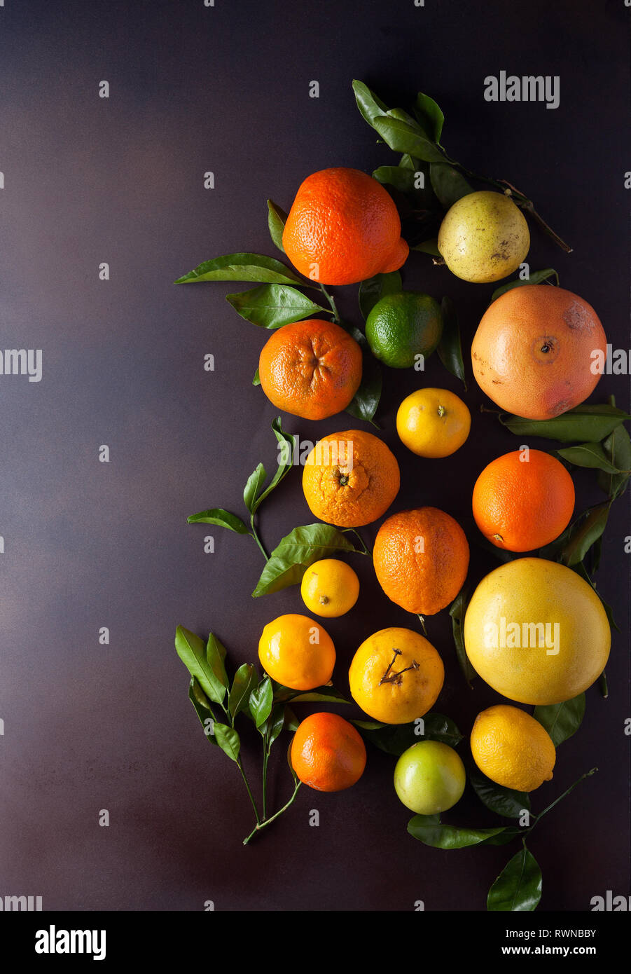 Variety citrus hi-res stock photography and images - Alamy