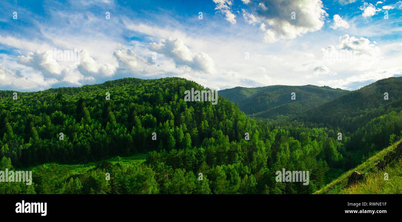 Summer landscape magnificent green hills and forest with different ...