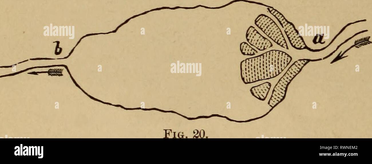 Elements of geology a Stock Photo - Alamy