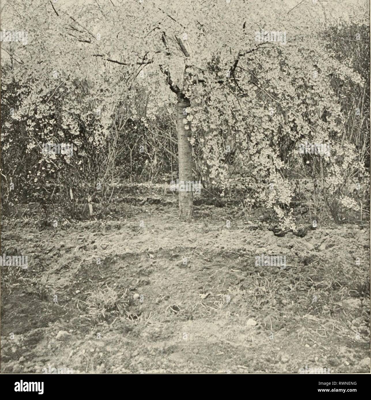 Ellwanger & Barry Mount Stock Photo - Alamy