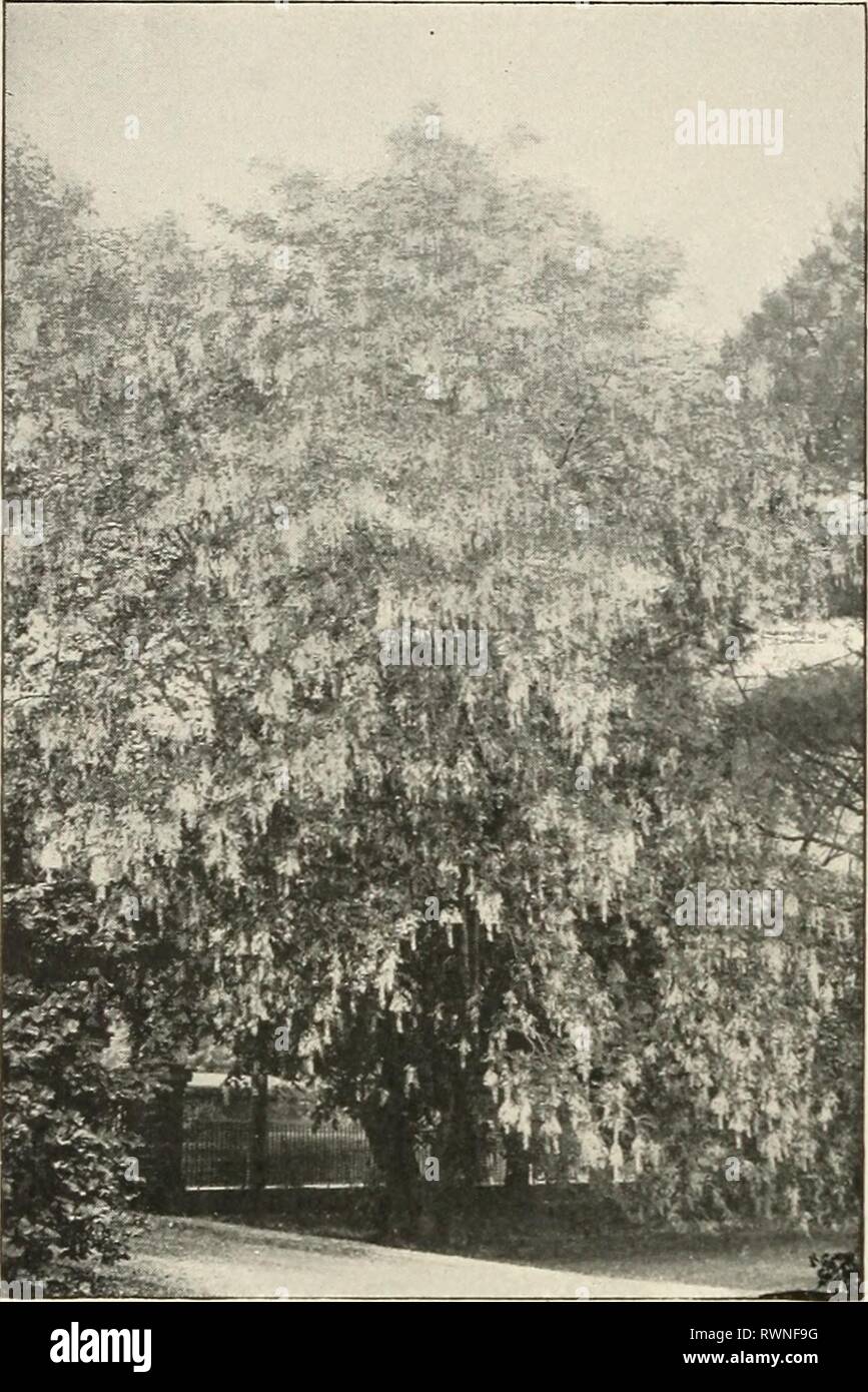 Ellwanger & Barry Mount Stock Photo - Alamy