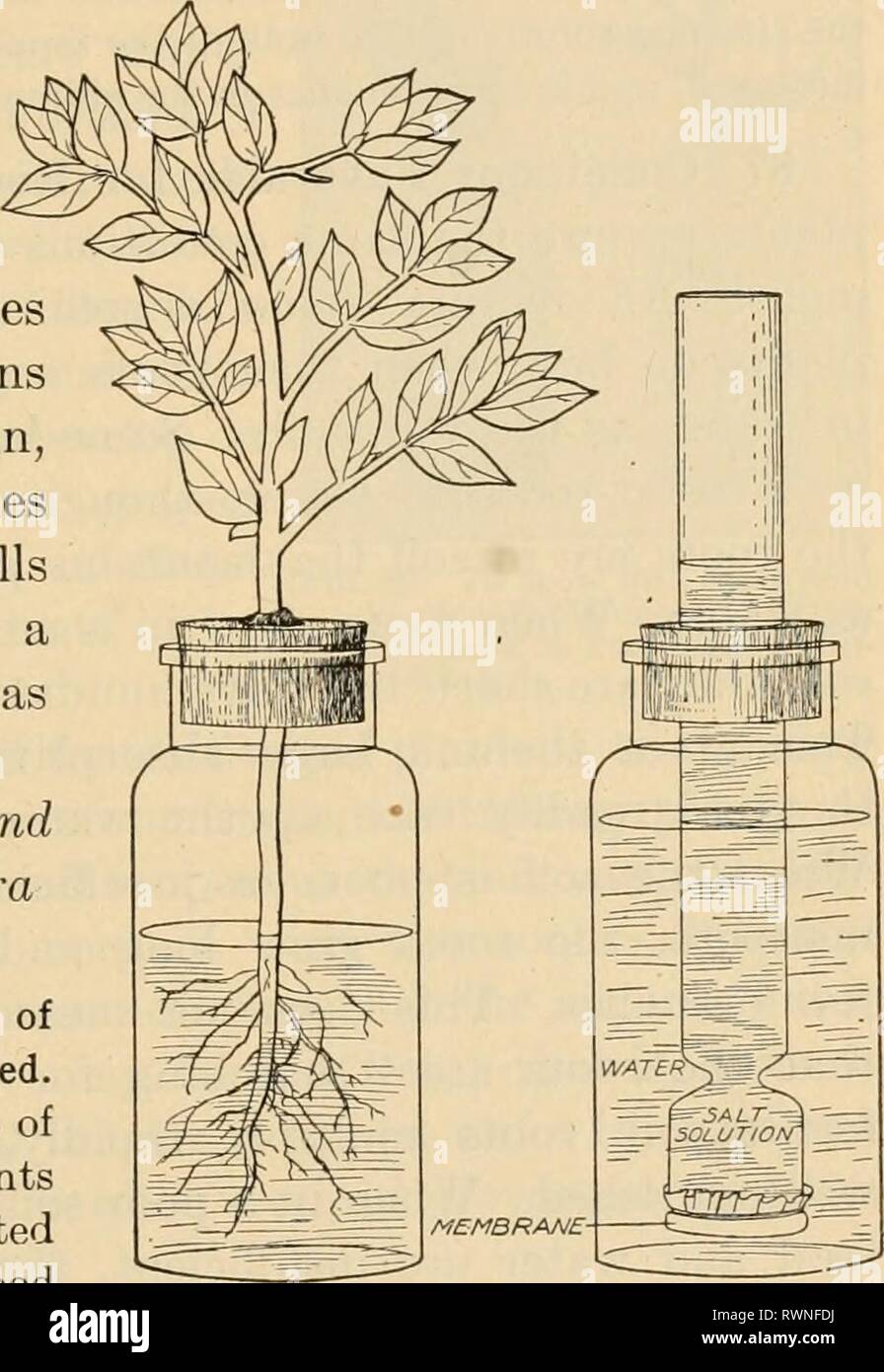 Elementary principles of agriculture Stock Photo - Alamy
