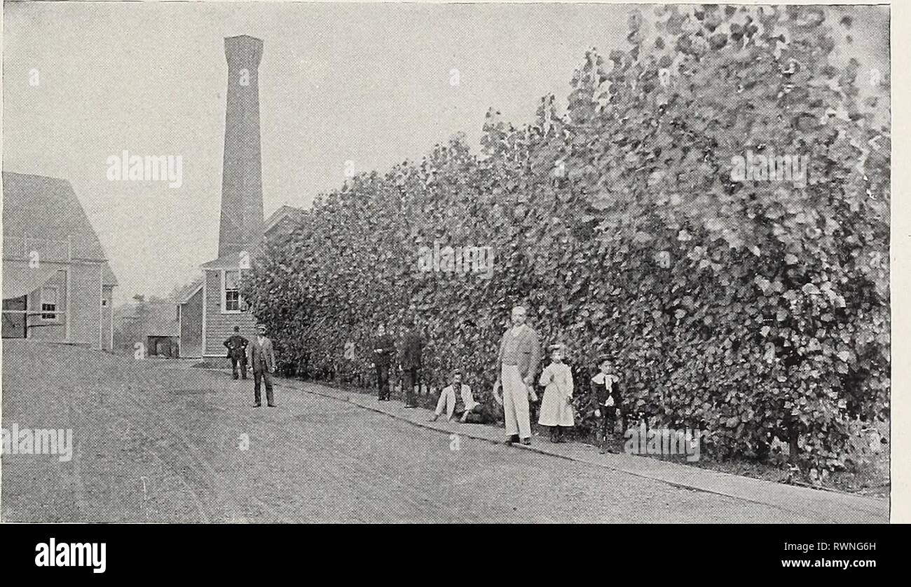 Ellwanger & Barry Mount Stock Photo - Alamy