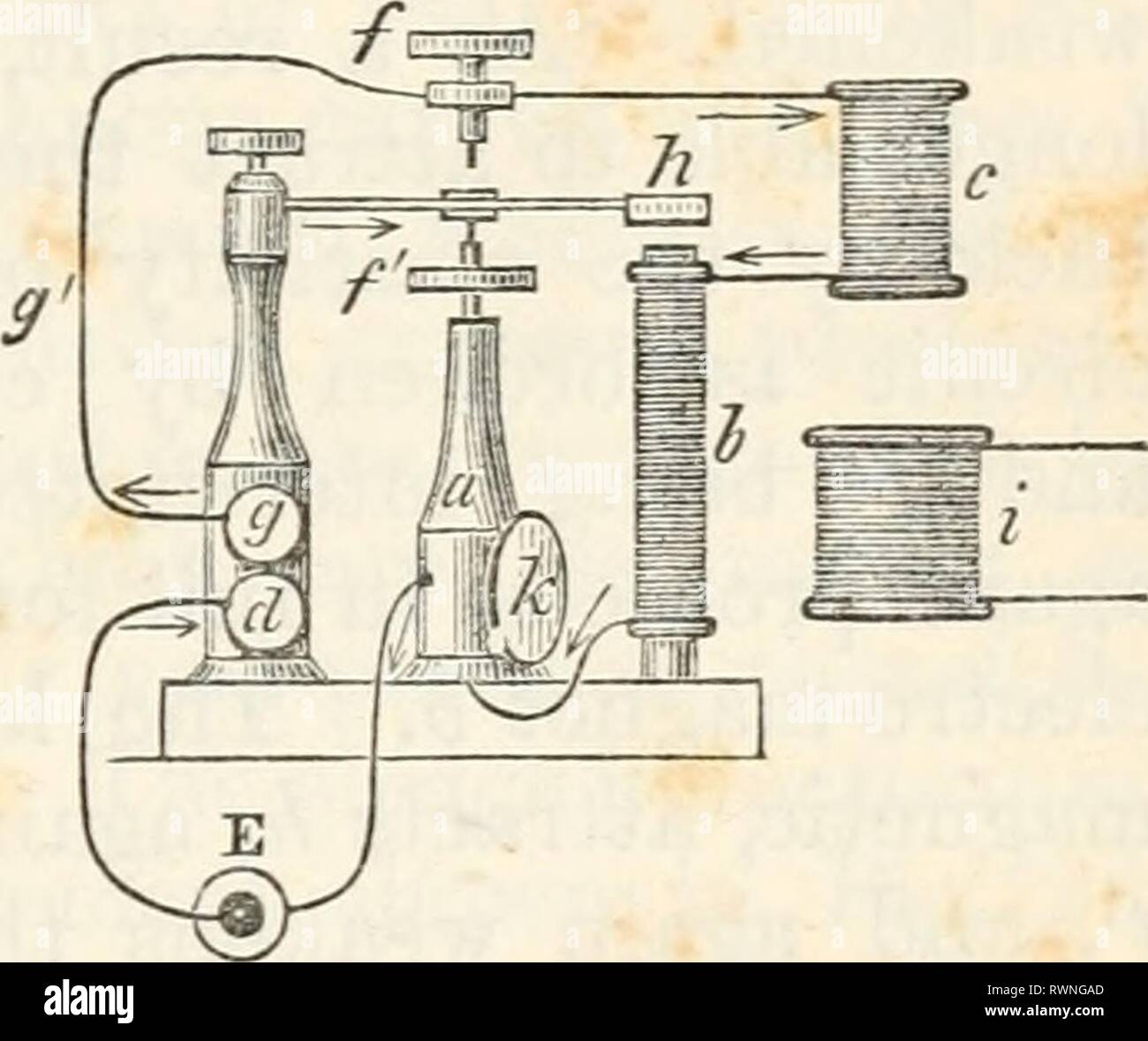 The elements of physiological physics Stock Photo - Alamy