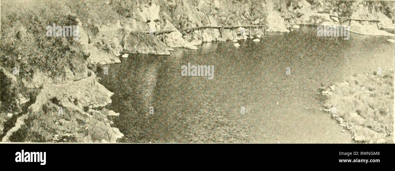 Elements of Philippine agriculture (1908 Stock Photo - Alamy