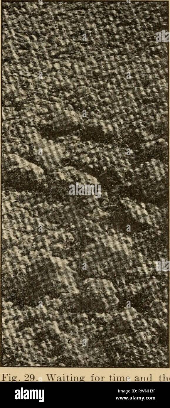 Elementary principles of agriculture; a Stock Photo - Alamy