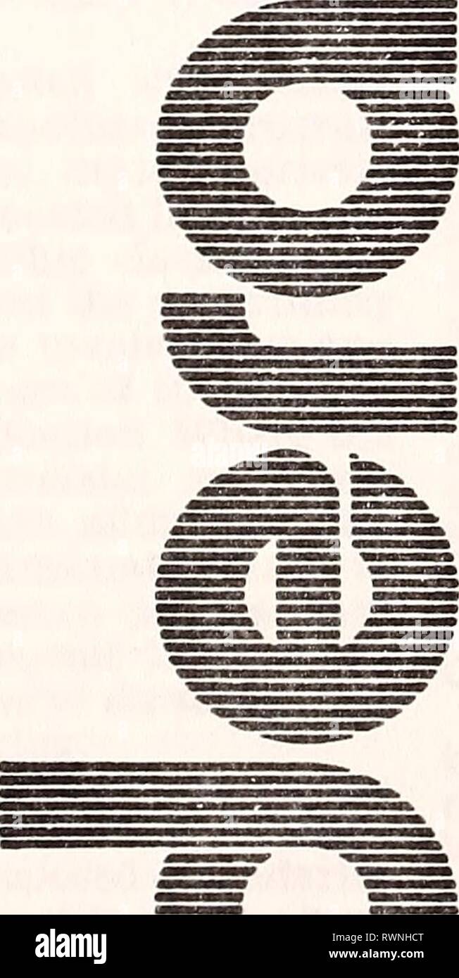 Elkhorn Slough Estuarine Sanctuary Stock Photo - Alamy