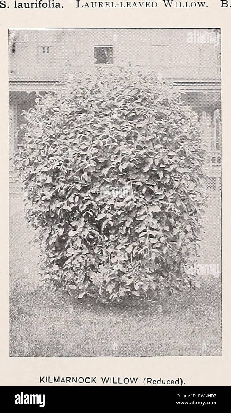 Ellwanger & Barry Mount Stock Photo - Alamy