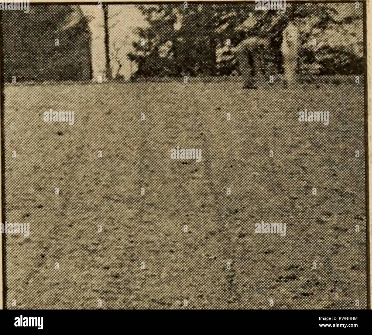 Elementary principles of agriculture; a Stock Photo - Alamy