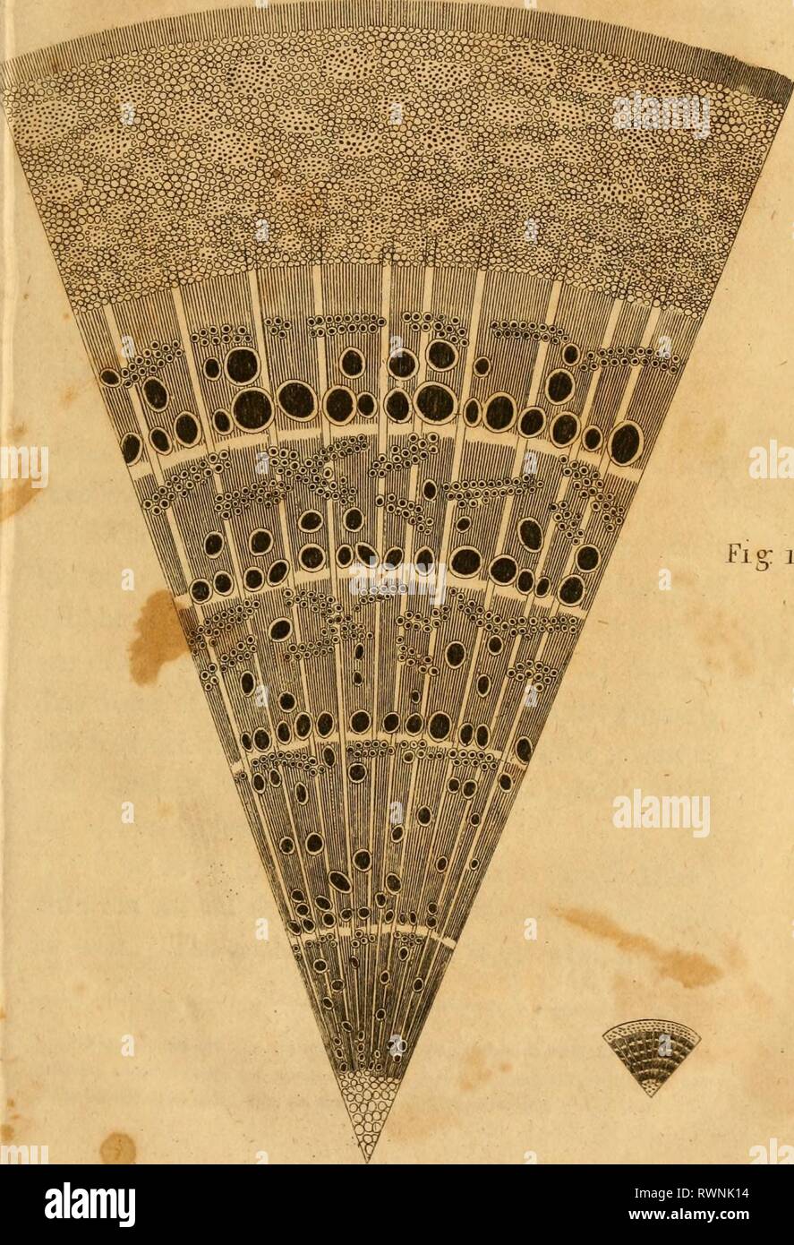 Elements of agricultural chemistry, in Stock Photo - Alamy
