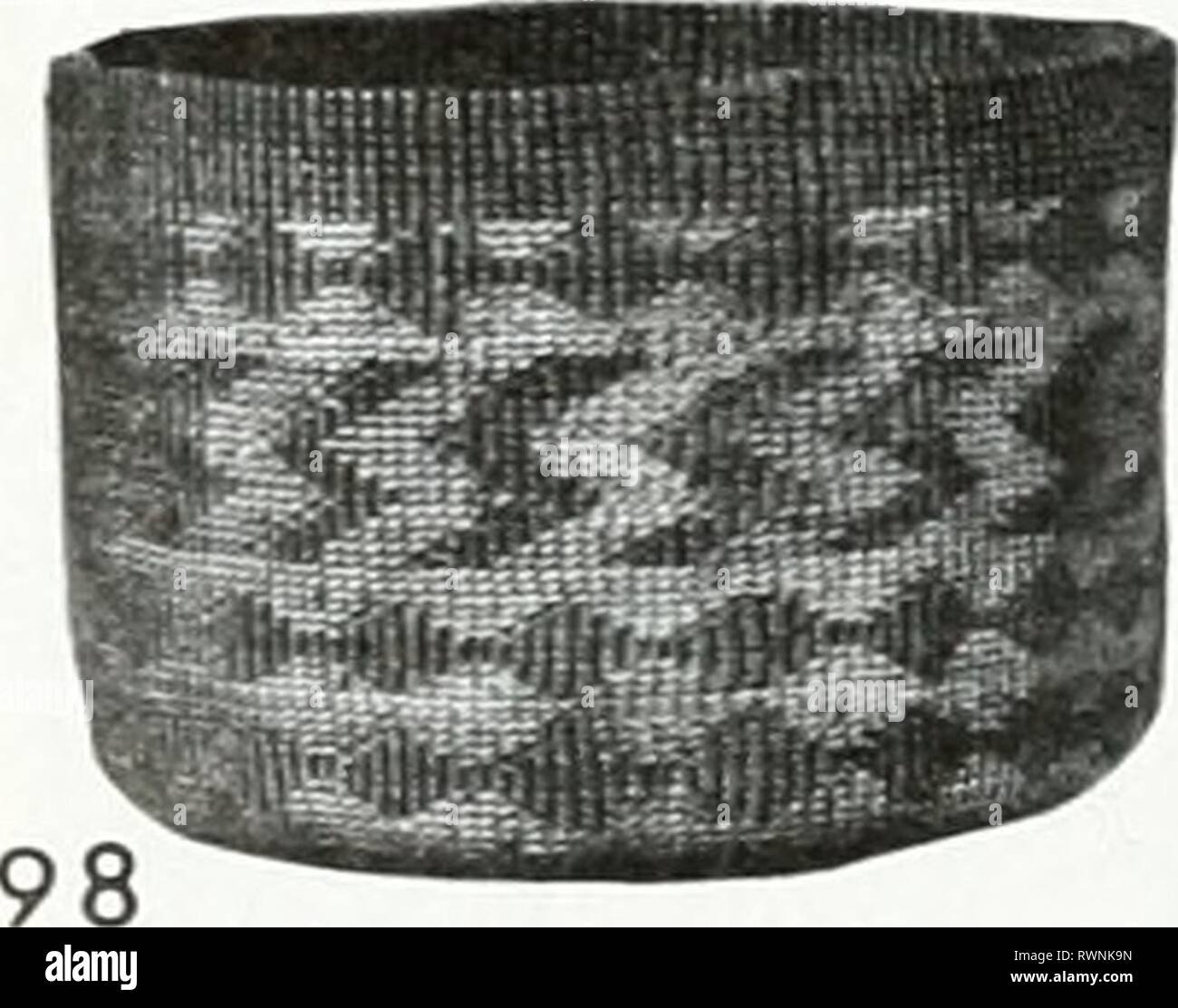 Emmons's notes on Field Museum's Stock Photo - Alamy