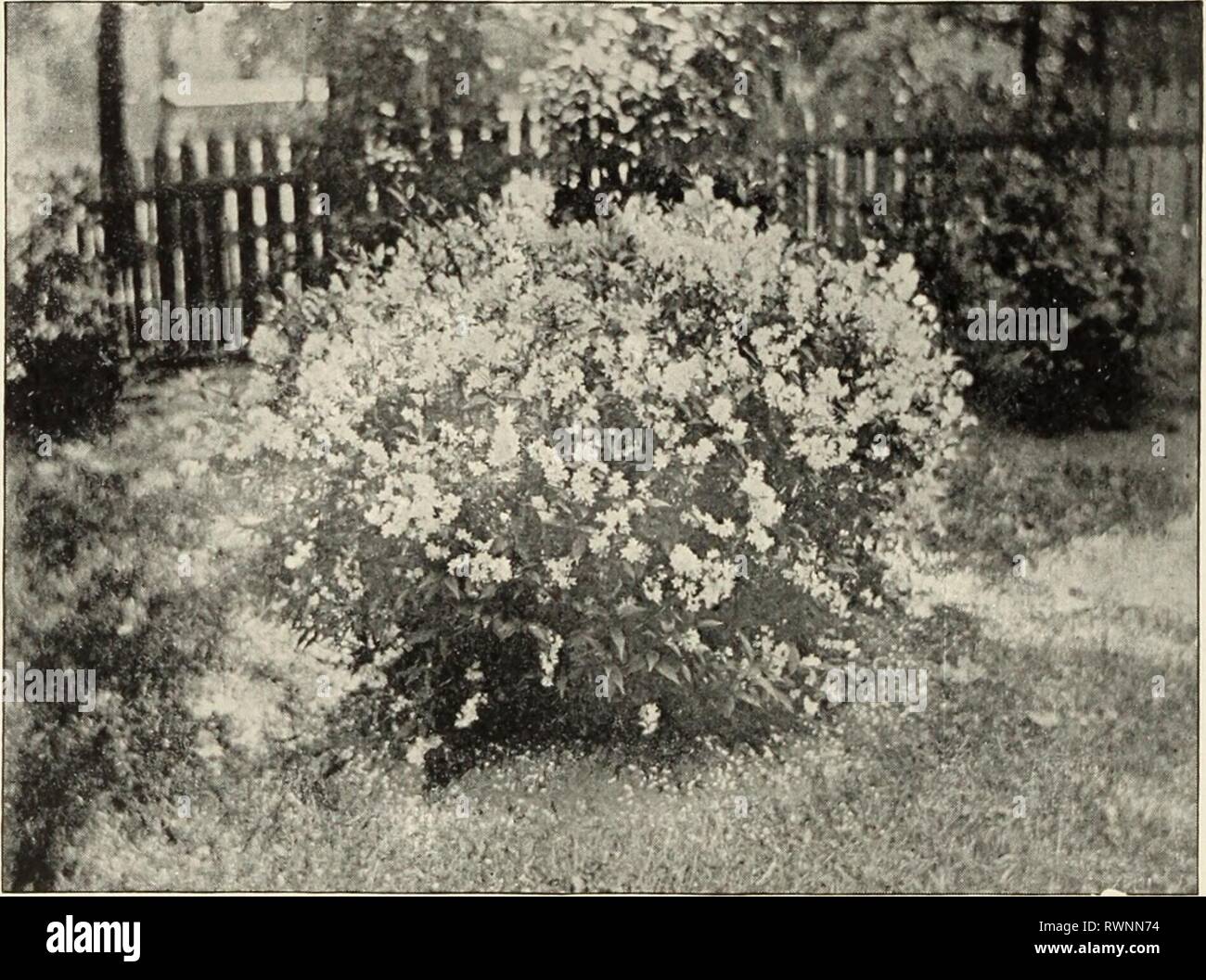 Ellwanger & Barry Mount Stock Photo - Alamy