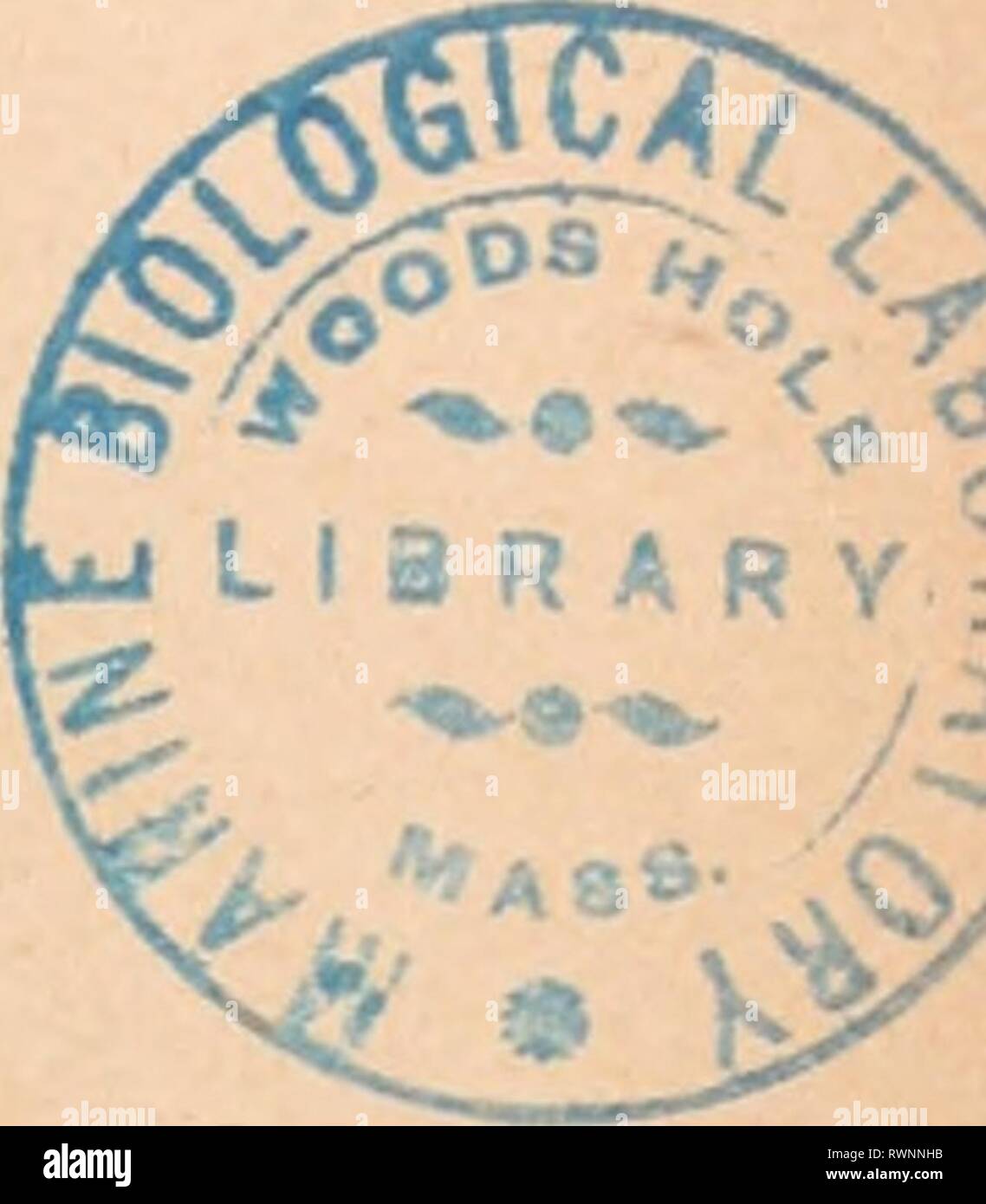 The embryology and metamorphosis of Stock Photo - Alamy