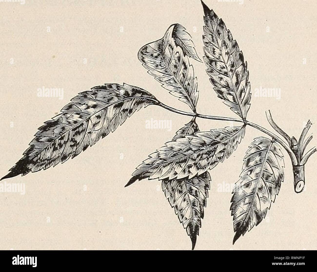 Family size portions hi-res stock photography and images - Alamy