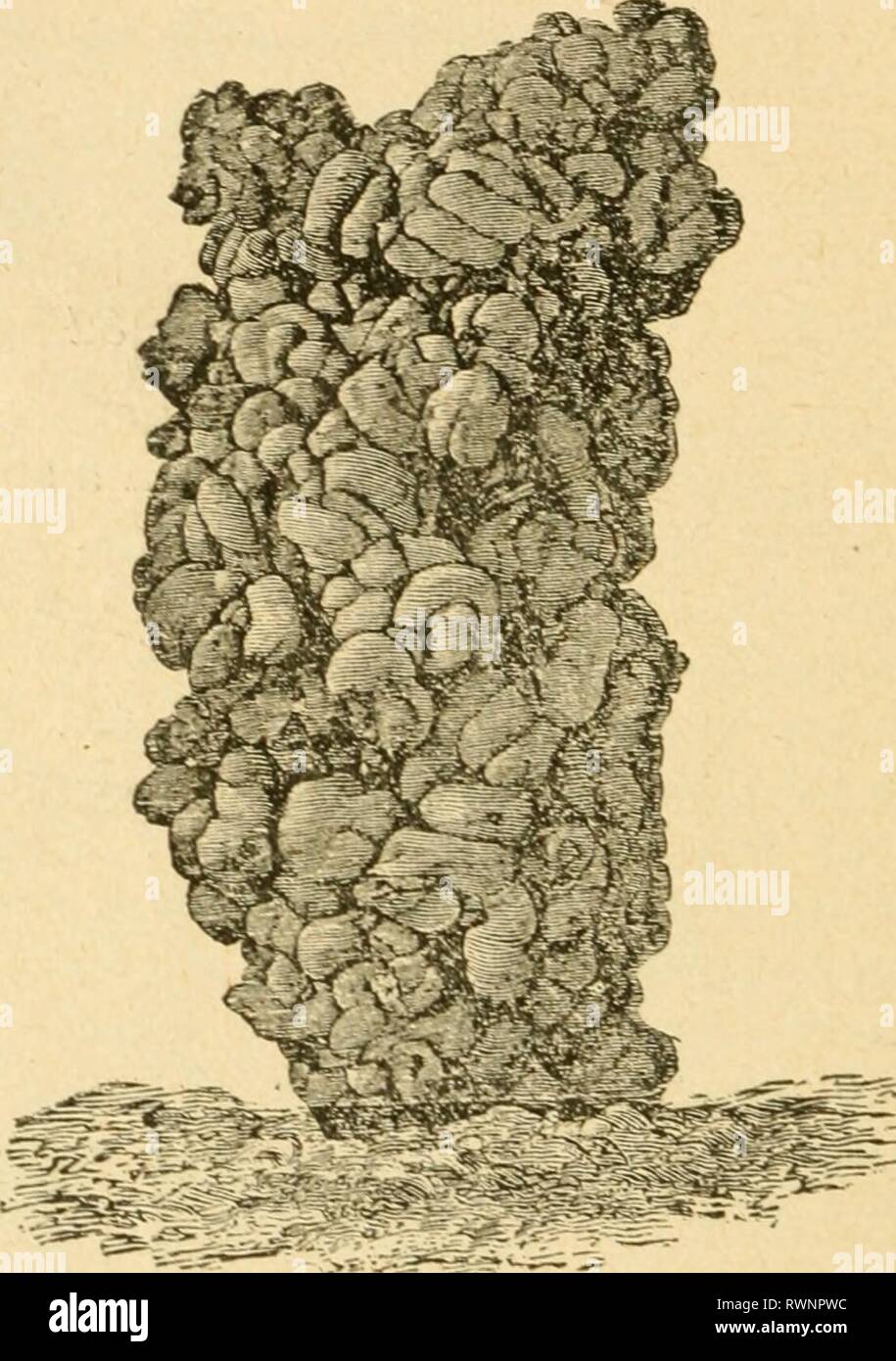 Elementary lessons in the physics Stock Photo - Alamy