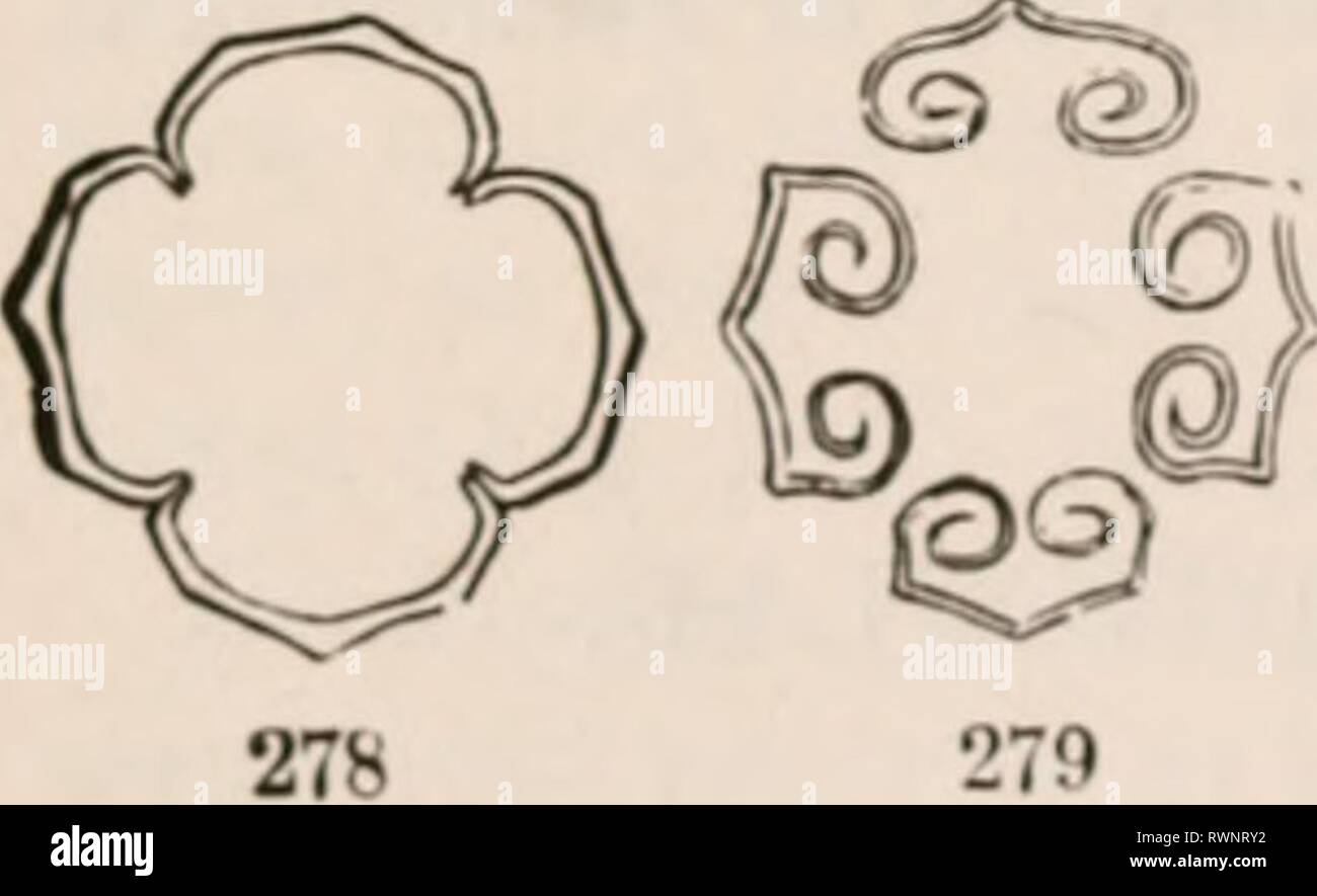 The elements of botany for The elements of botany for beginners and for ...