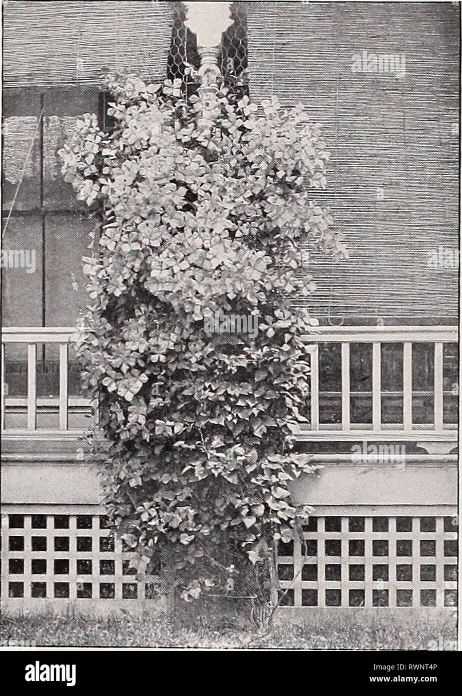 Ellwanger & Barry Mount Stock Photo - Alamy