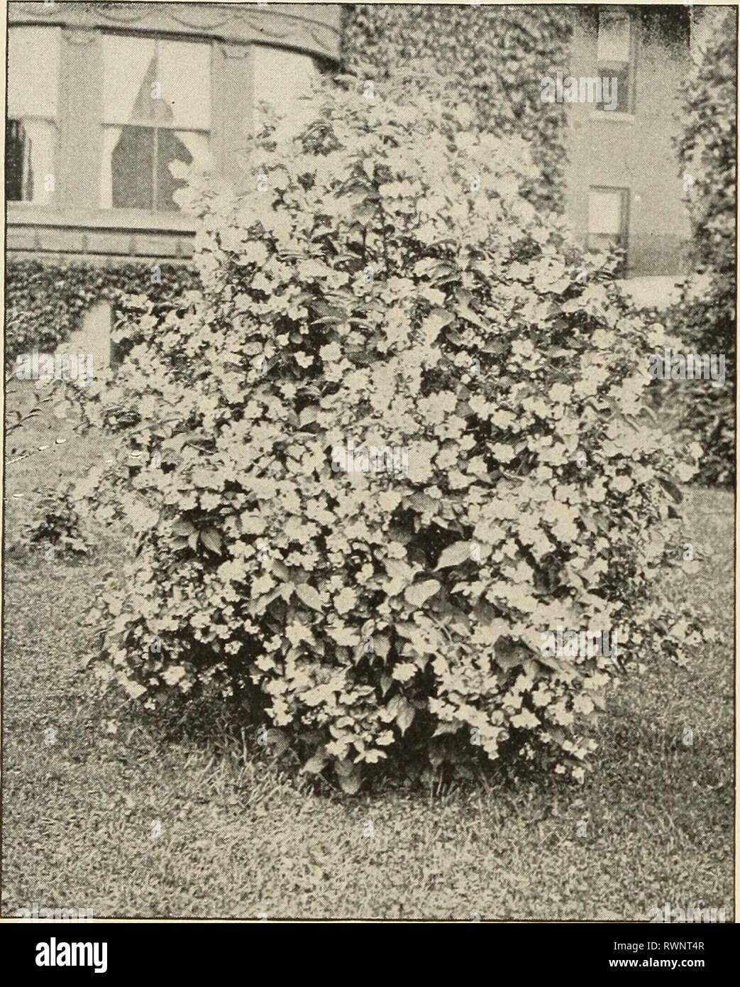 Ellwanger & Barry Mount Stock Photo - Alamy