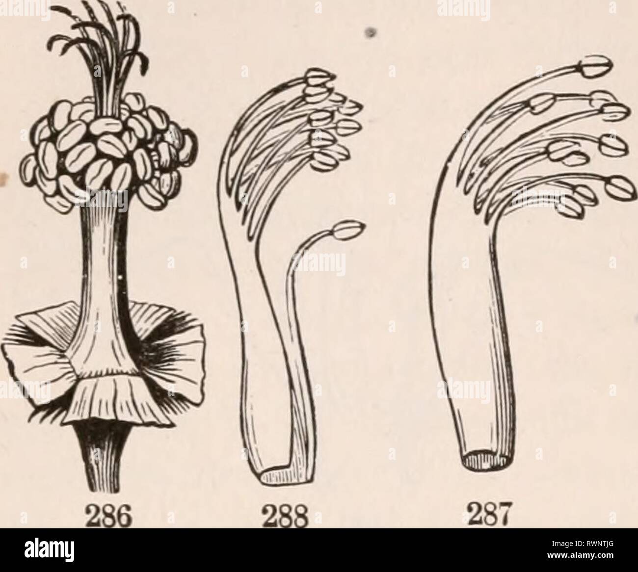 Number 289 hi-res stock photography and images - Alamy