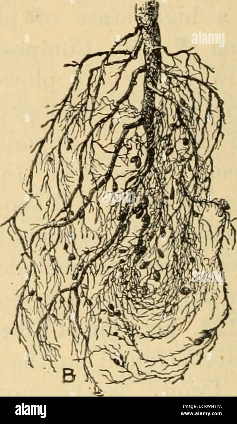 Elementary principles of agriculture Stock Photo - Alamy