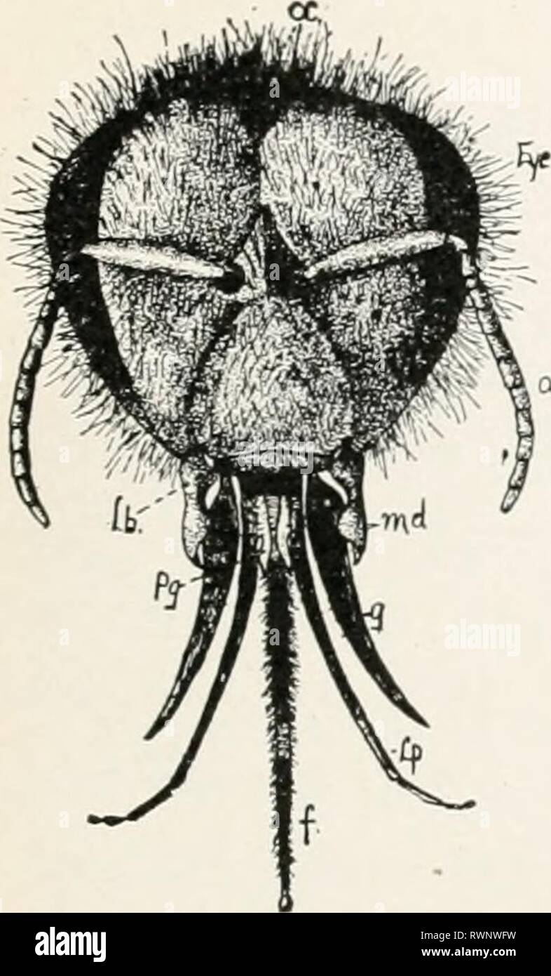 Rity hi-res stock photography and images - Alamy