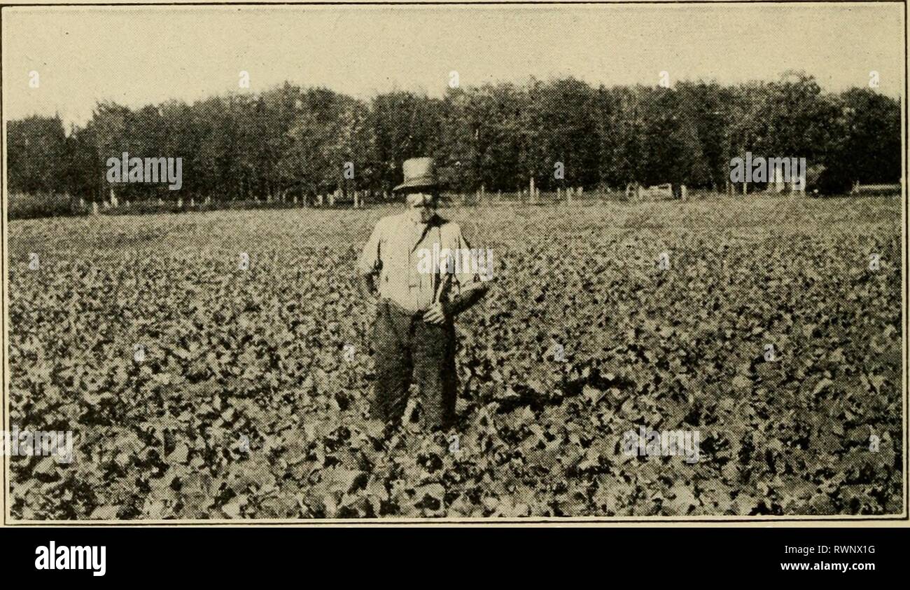 Failed crops illustration hi-res stock photography and images - Alamy