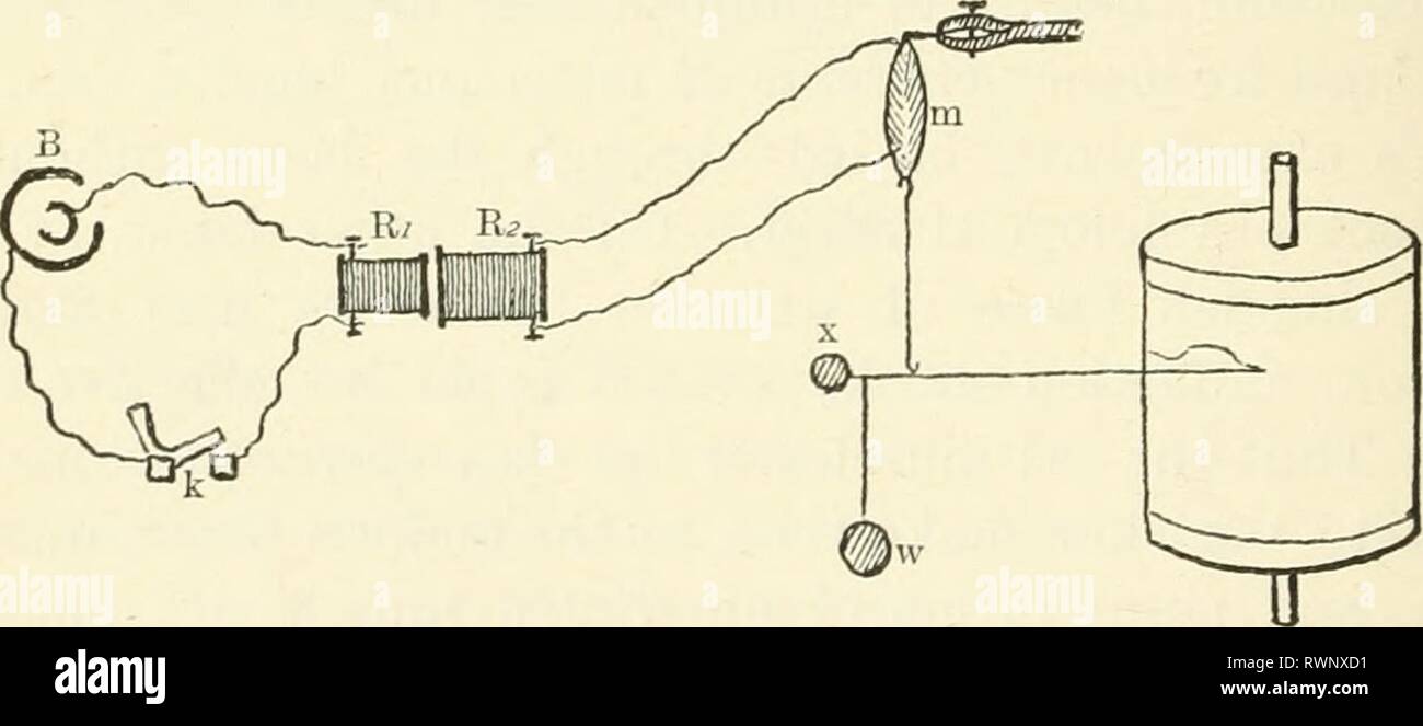 Muscle contraction historical hi-res stock photography and images - Alamy