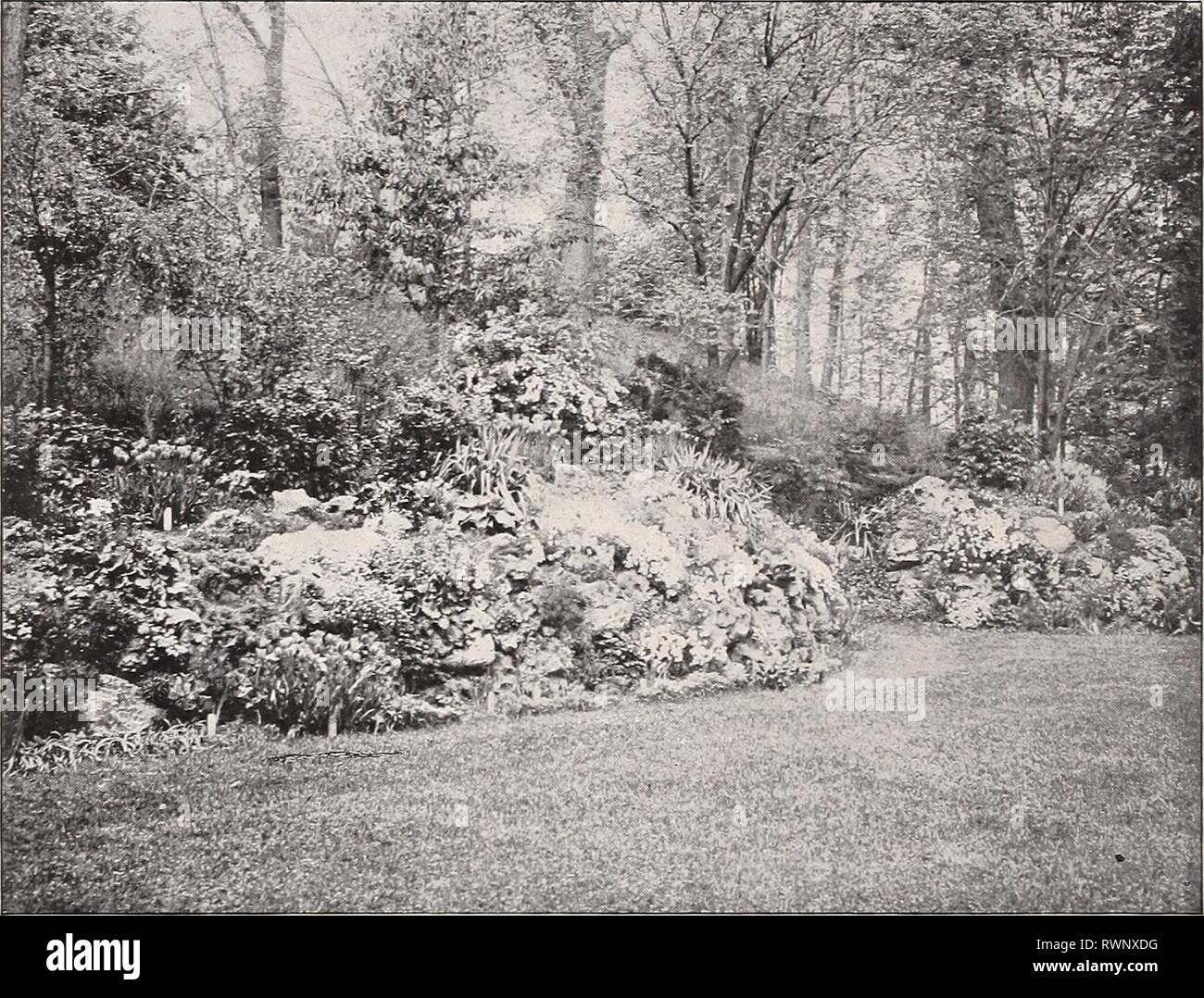 Ellwanger & Barry Mount Stock Photo - Alamy