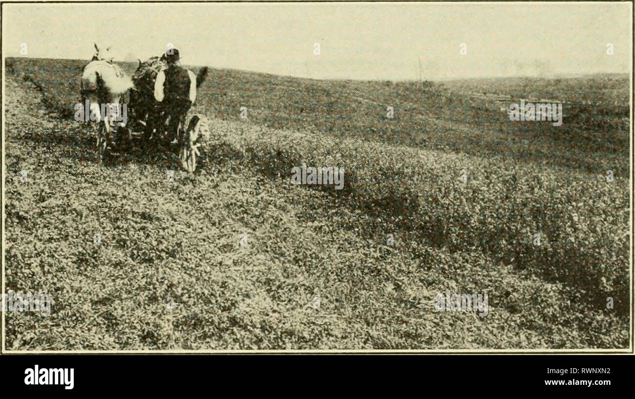 Elements of farm practice (1919 Stock Photo - Alamy