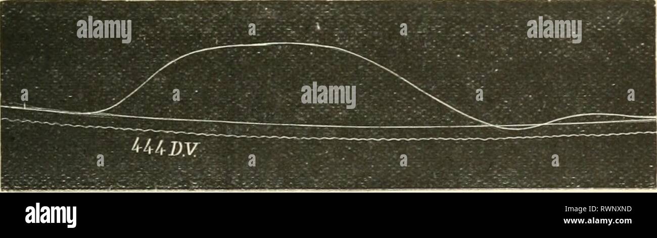 Elements of human physiology (1907) Elements of human physiology ...