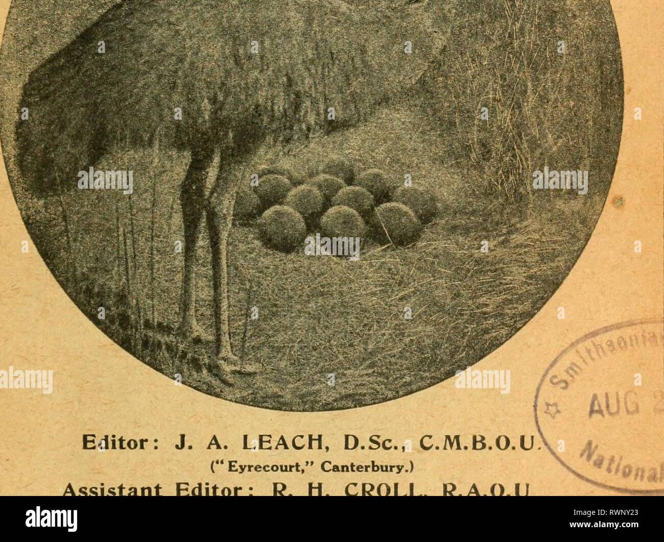 The Emu official organ Stock Photo - Alamy