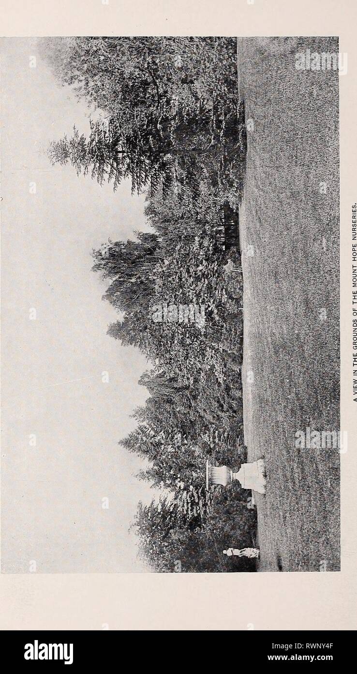 Ellwanger & Barry Mount Stock Photo - Alamy