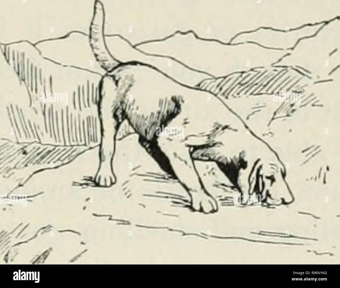 Elementary physics and chemistry first Stock Photo - Alamy