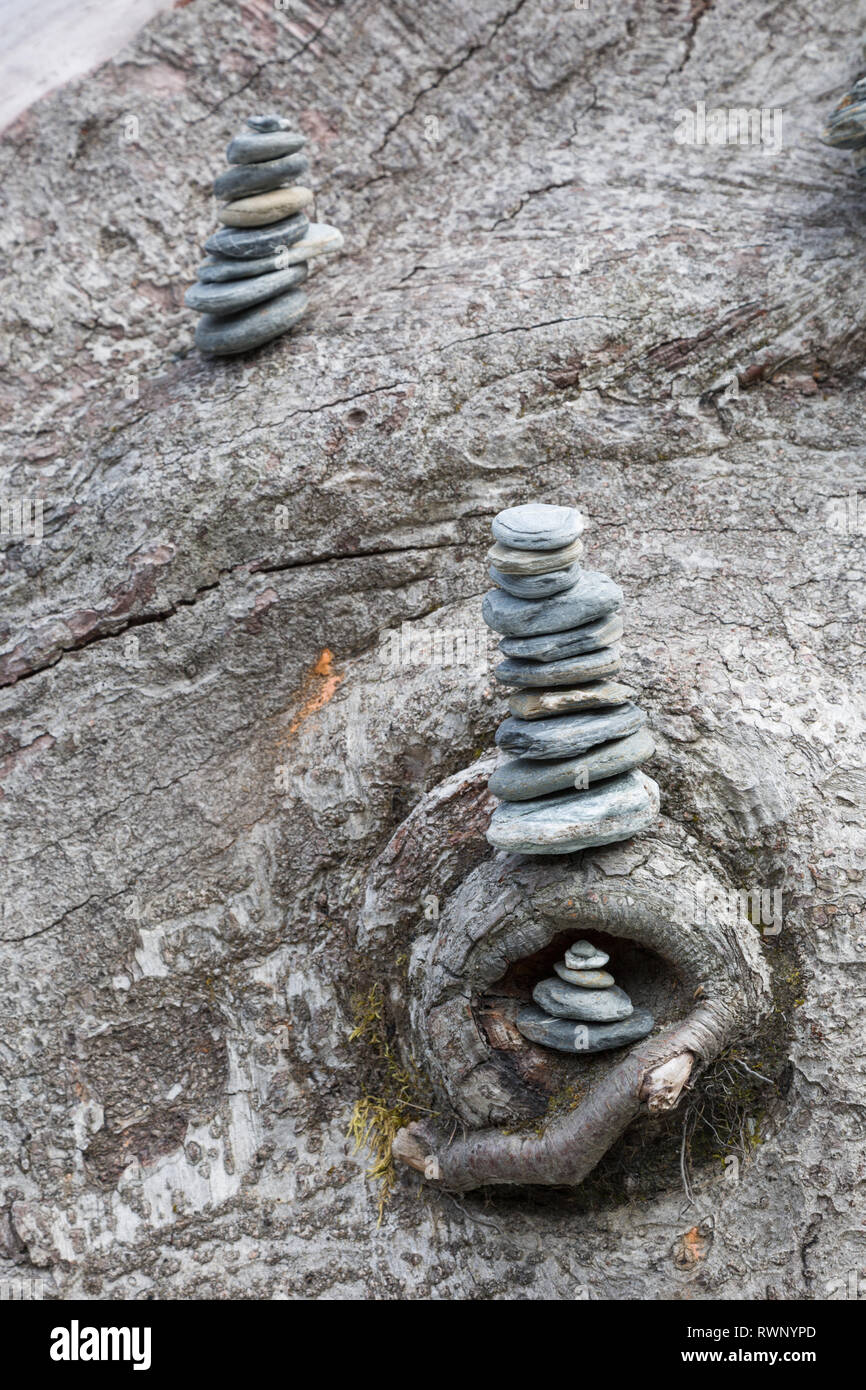 Two small stone piles in an old tree trunk Stock Photo - Alamy