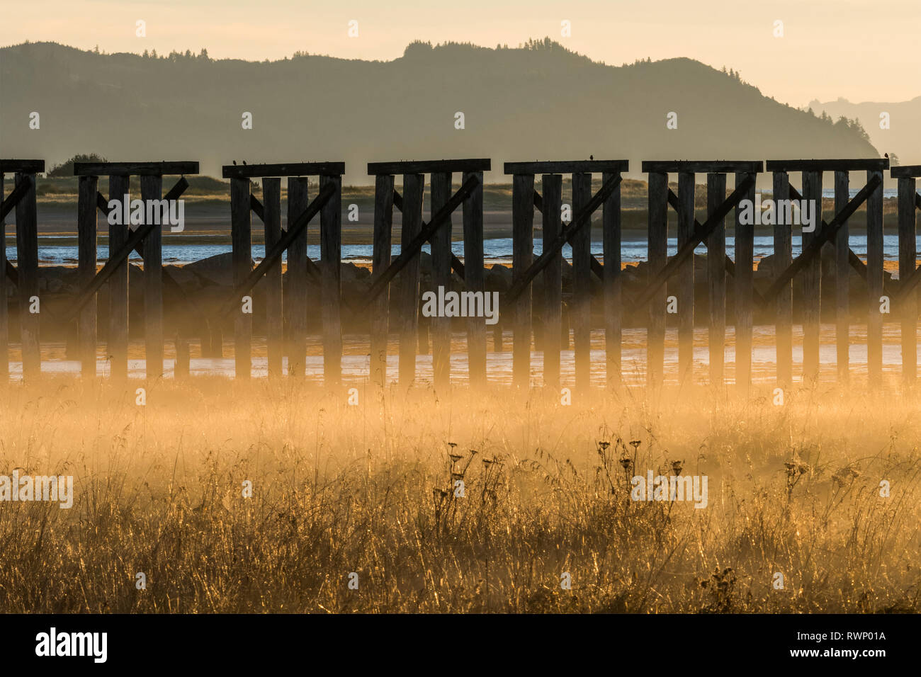 An old railroad trestle remains at Trestle Bay on the Oregon Coast ...