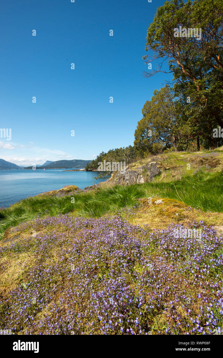 Gulf Islands National Park, Portland Island, British Columbia, Canada ...