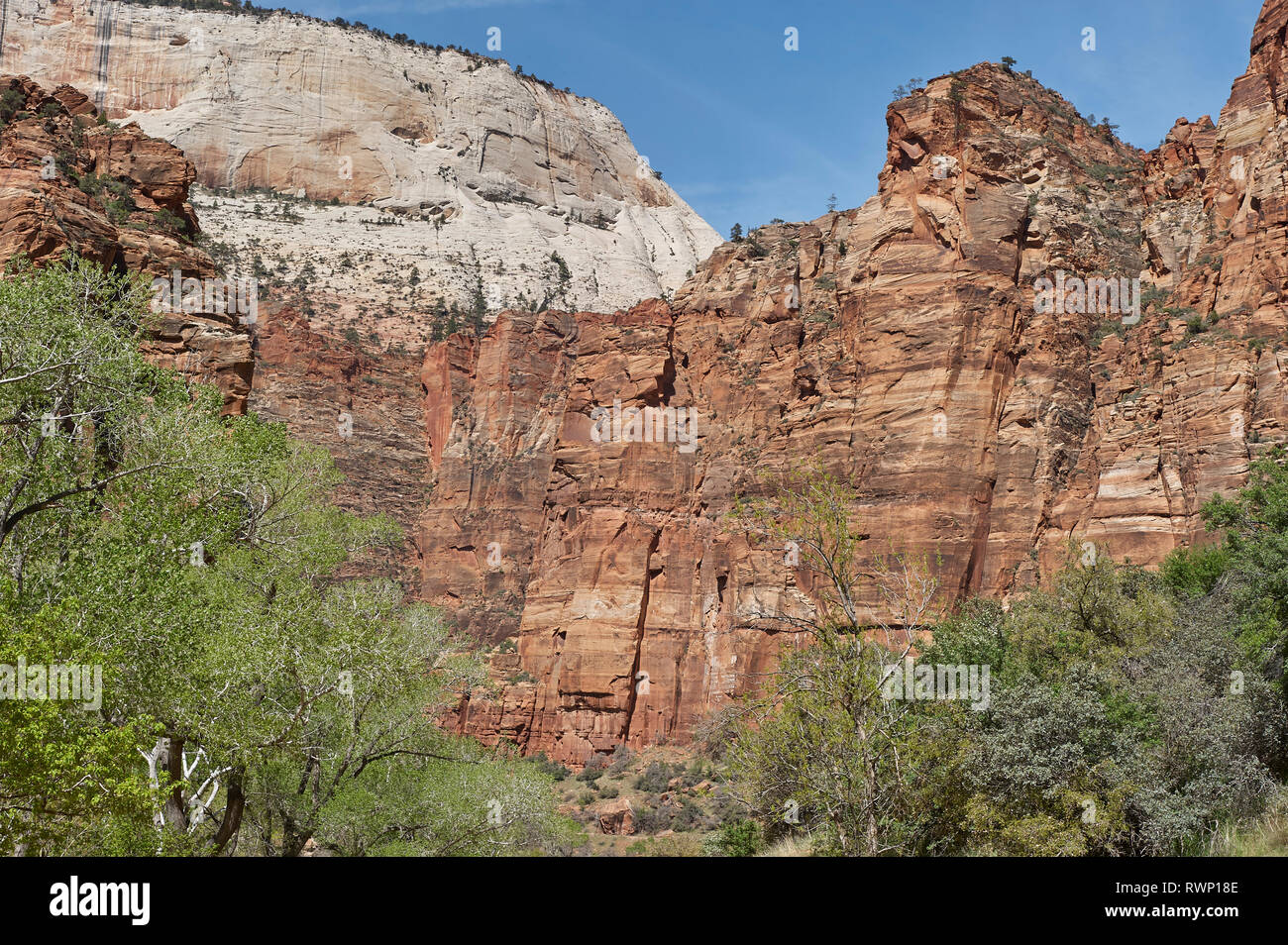 Canyon walls in National Park State of Utah Stock Photo - Alamy