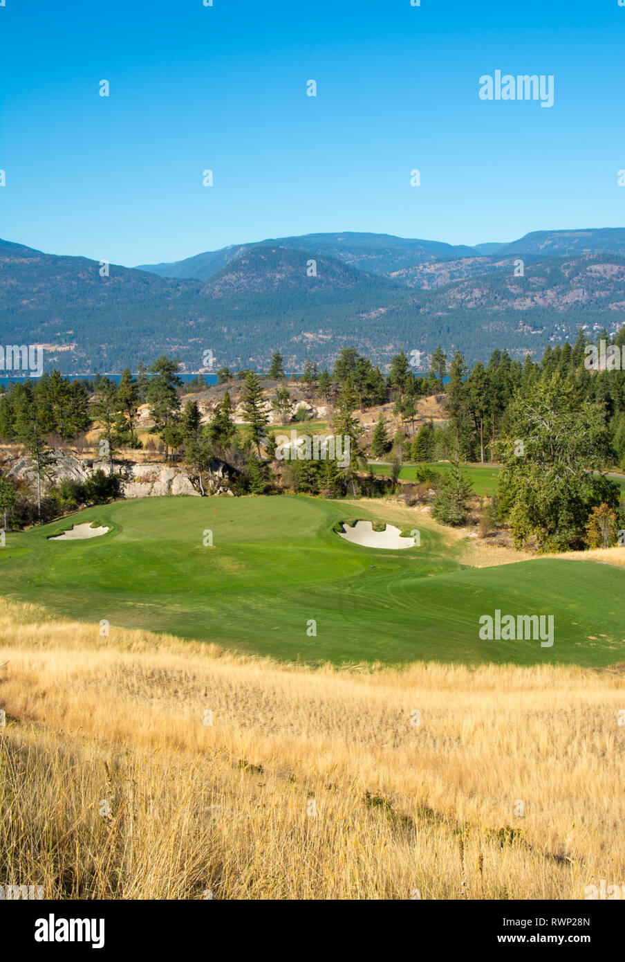 Predator ridge golf course hi-res stock photography and images - Alamy