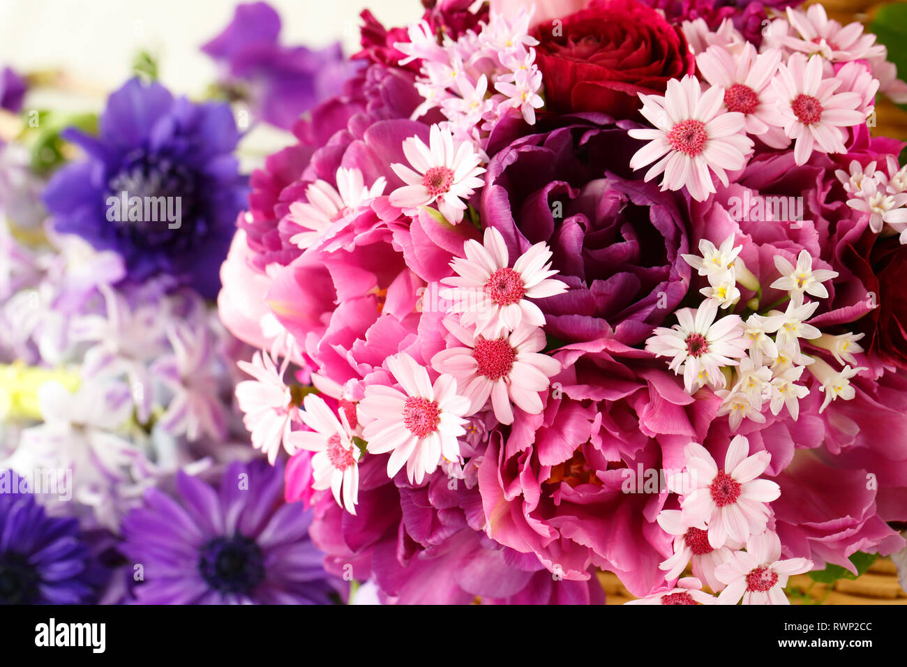 Multiple flower types hi-res stock photography and images - Alamy