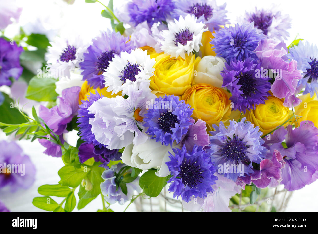 Multiple flower types hi-res stock photography and images - Alamy