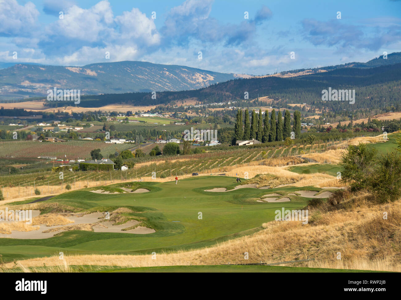 Predator plants hi-res stock photography and images - Alamy