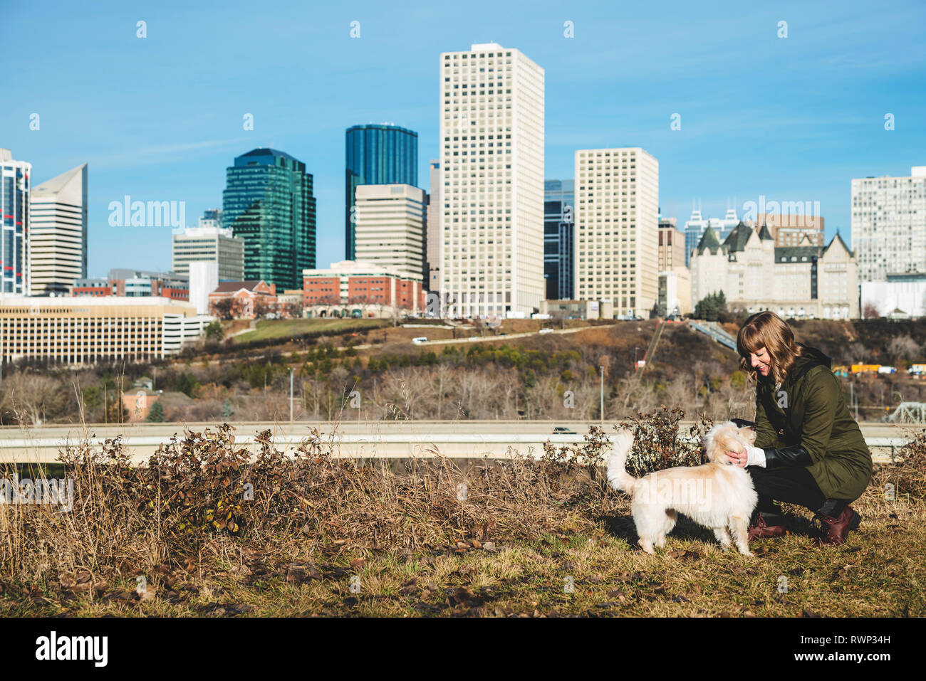 Dog city skyline hi-res stock photography and images - Alamy