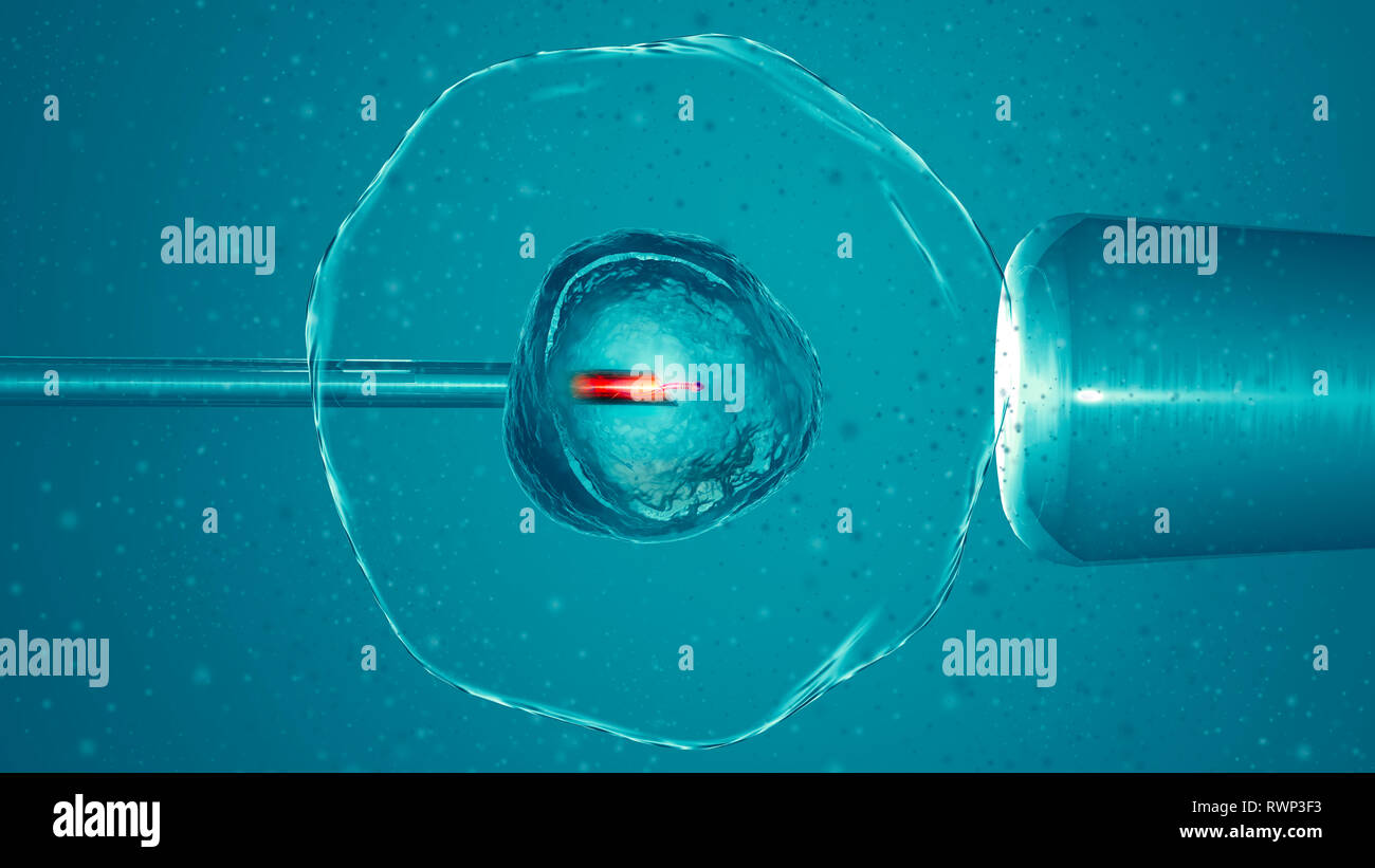 Fertilization gametes microscope hi-res stock photography and images ...