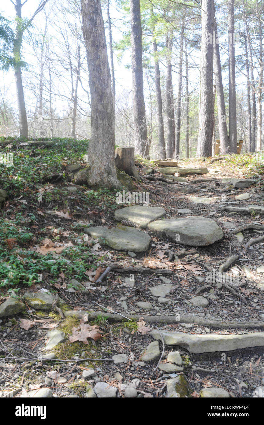 Stony brook hi-res stock photography and images - Alamy