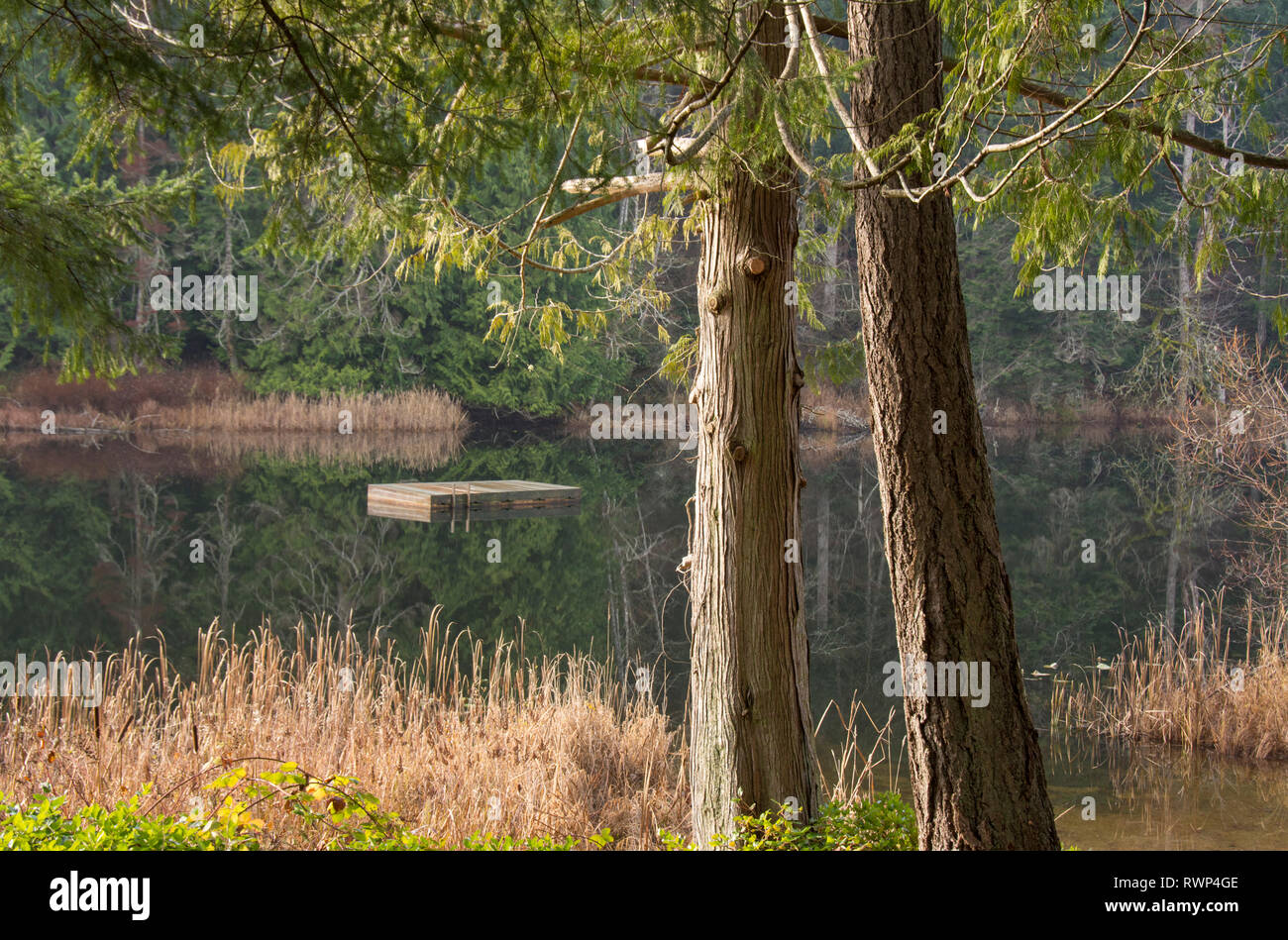 Cusheon lake resort hi-res stock photography and images - Alamy