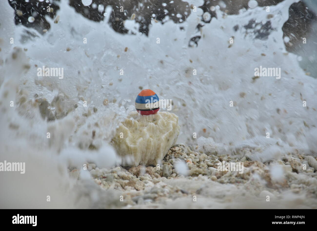 Splash life hi-res stock photography and images - Alamy