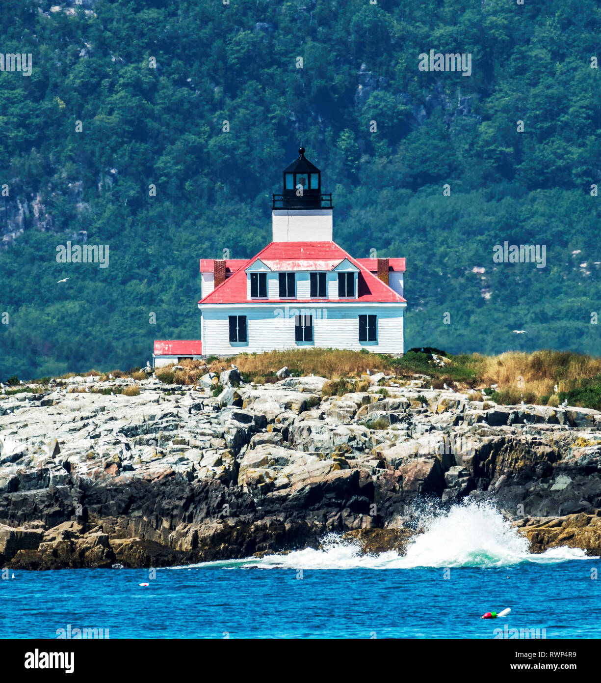 Egg rock lighthouse with Acadia National Park behind it and water ...