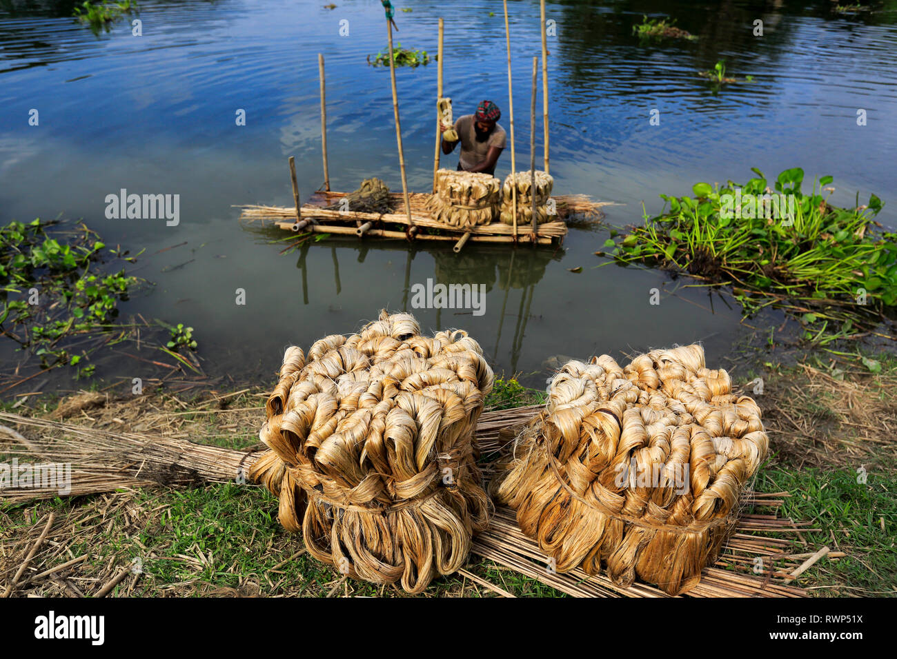 Farmer washing jute fibres in hi-res stock photography and images - Alamy